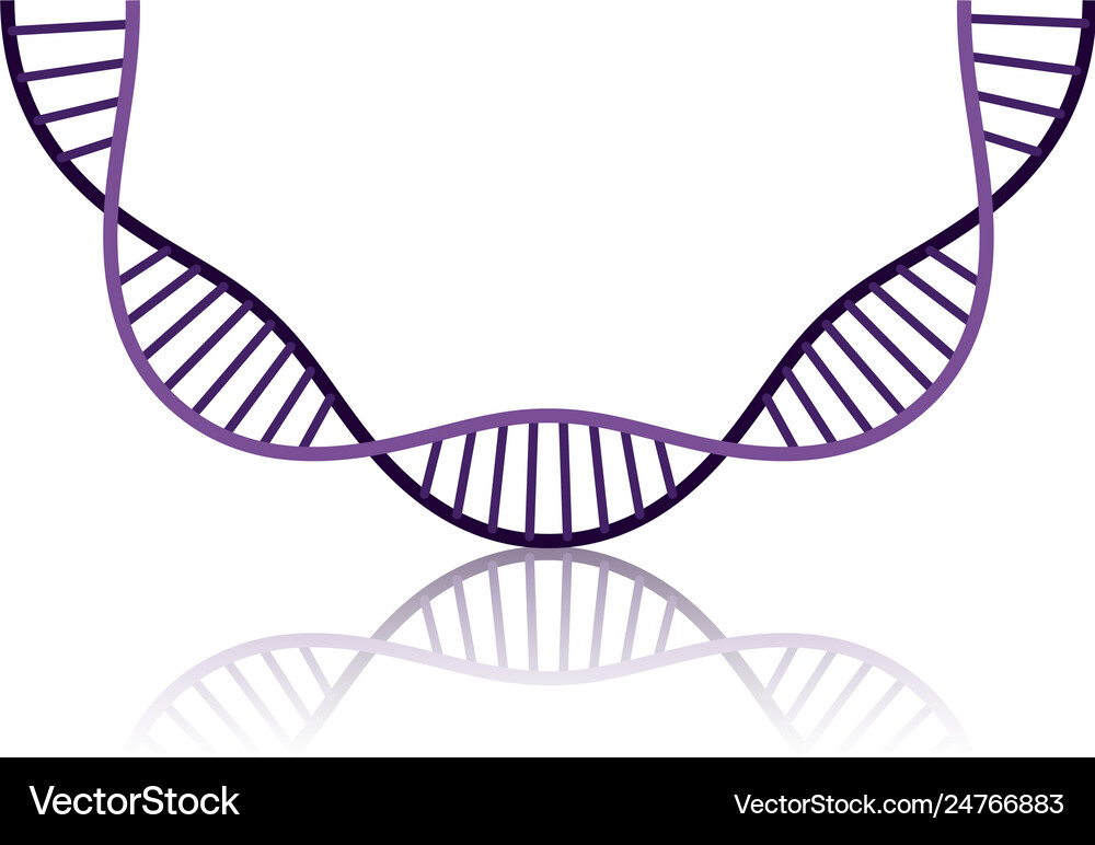 Dna chain with curve science colorful icon Vector Image