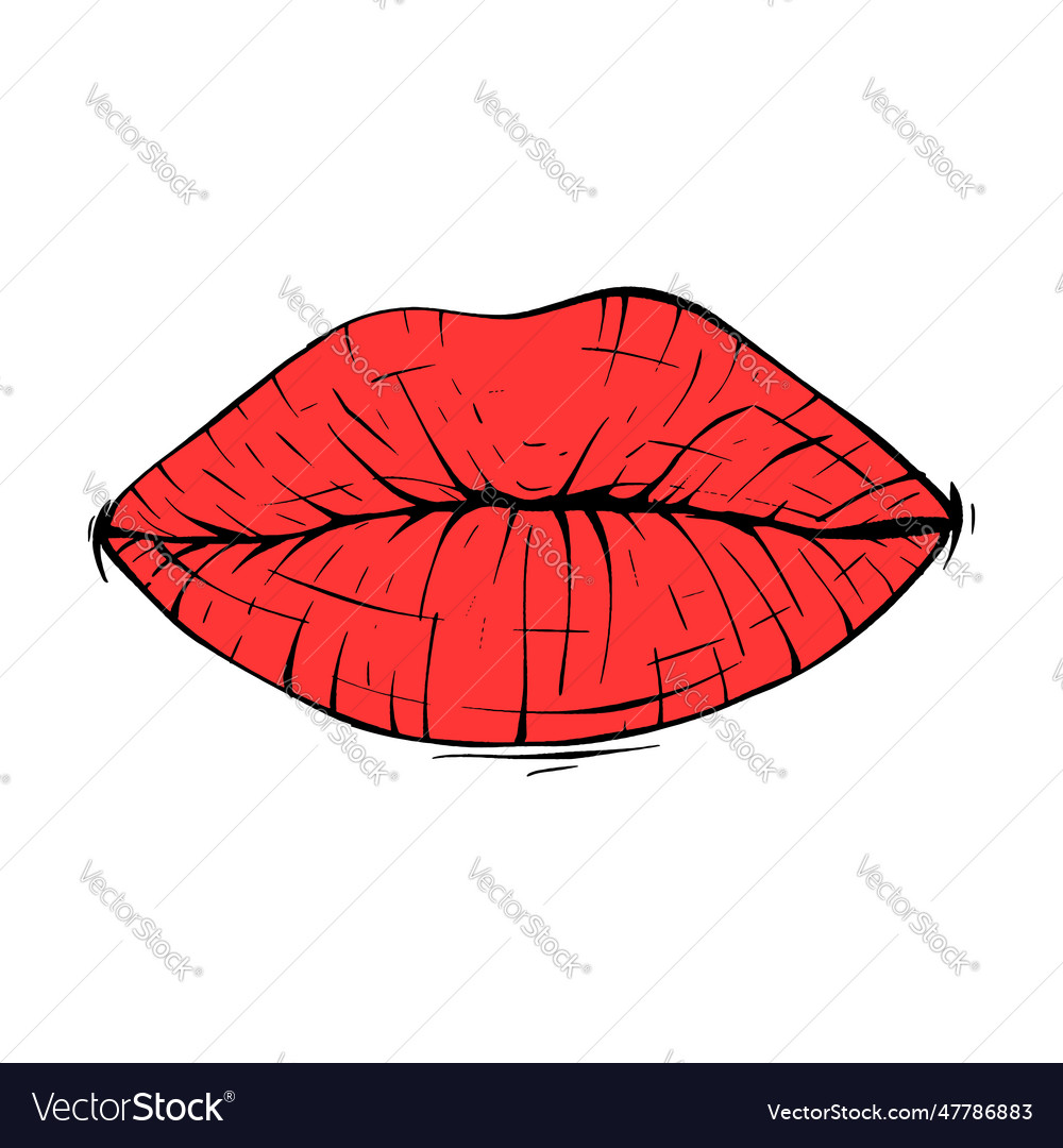 Red Female Lips Sketch Line Art Royalty Free Vector Image