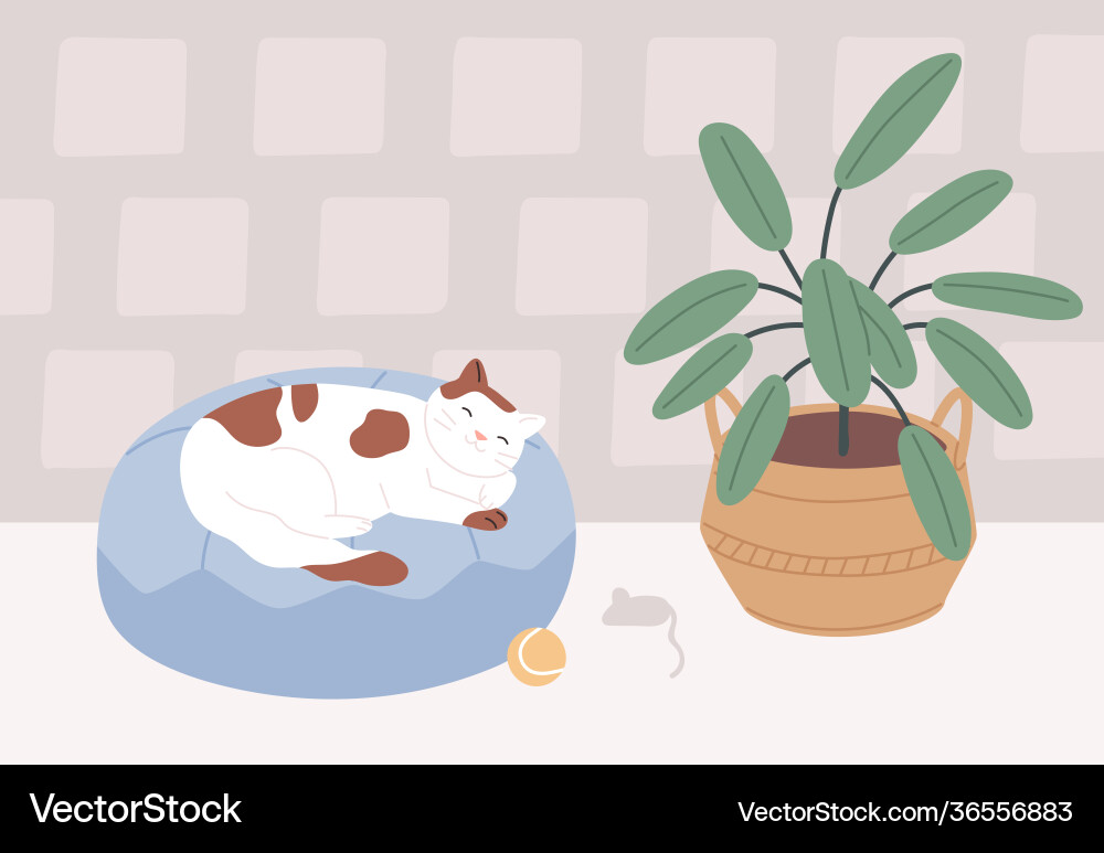 Relaxed cat sleeping in its bed cozy room Vector Image