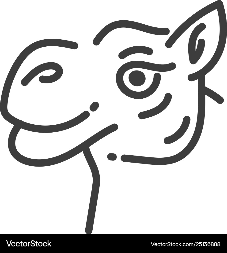 Camel portrait head flat outline icon egypt Vector Image