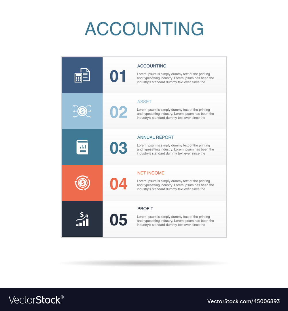 Accounting asset annual report net income Vector Image Accounting asset annual report net income Vector Image