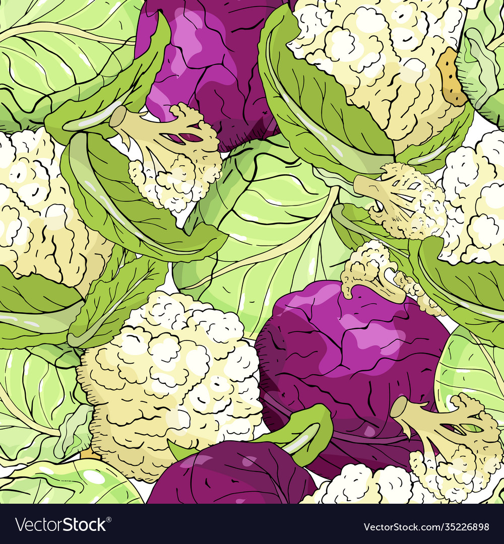 Seamless pattern with different kind cabbage Vector Image