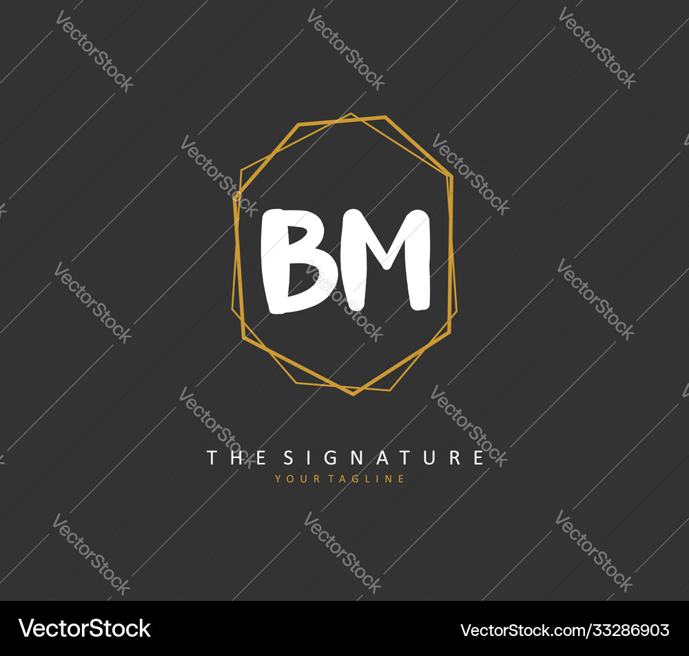 B m bm initial letter handwriting and signature Vector Image