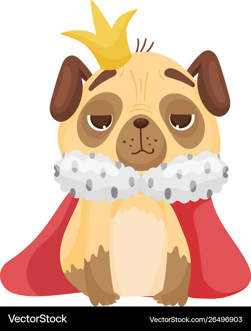Cute pug in a king costume Royalty Free Vector Image