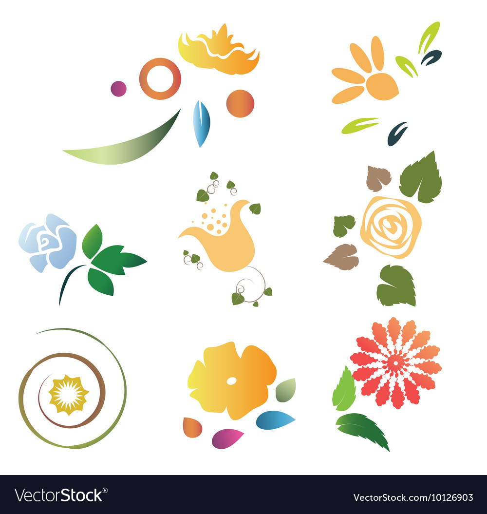 Floral elements Royalty Free Vector Image - VectorStock