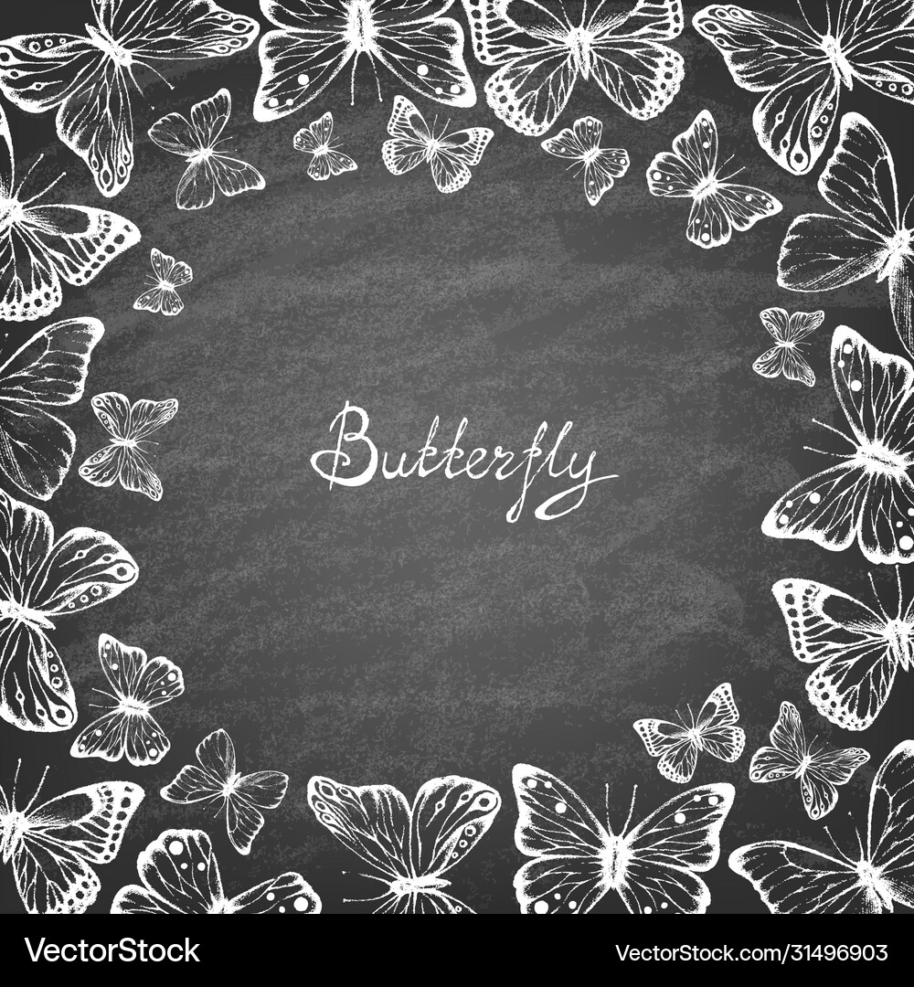 Set hand-drawn butterflies on chalk board Vector Image