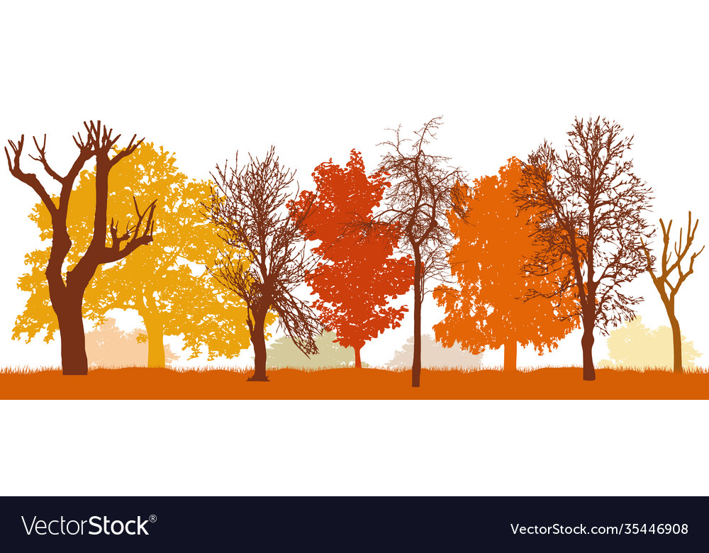 Autumn trees in park silhouette bare trees Vector Image