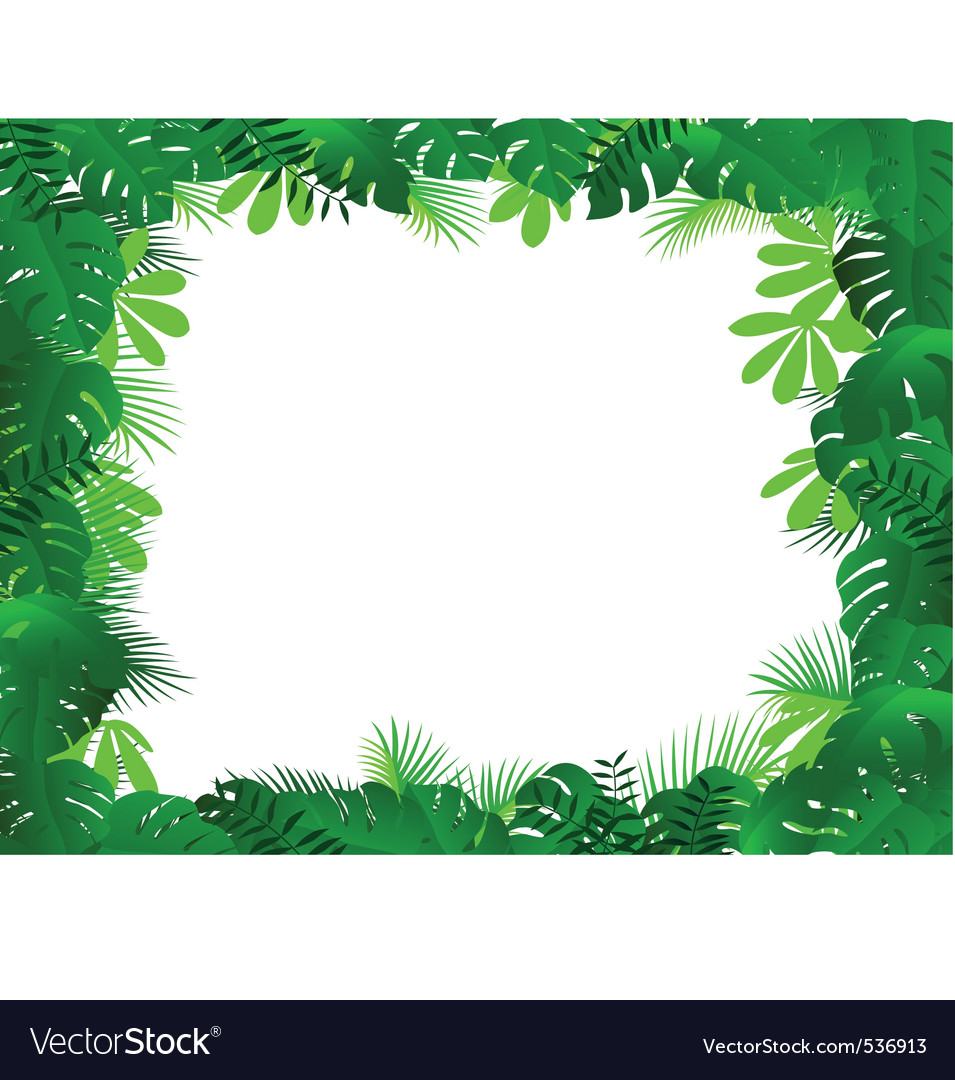 Tropical Forest Background Royalty Free Vector Image