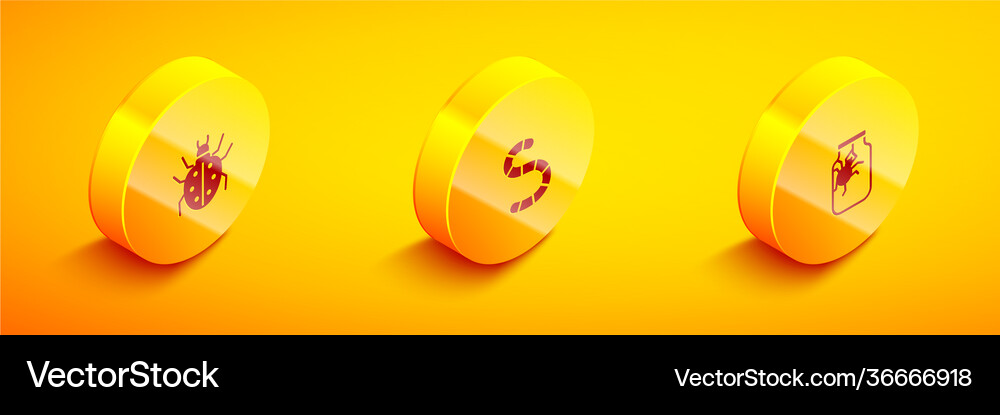 Set isometric mite worm and spider in jar icon Vector Image
