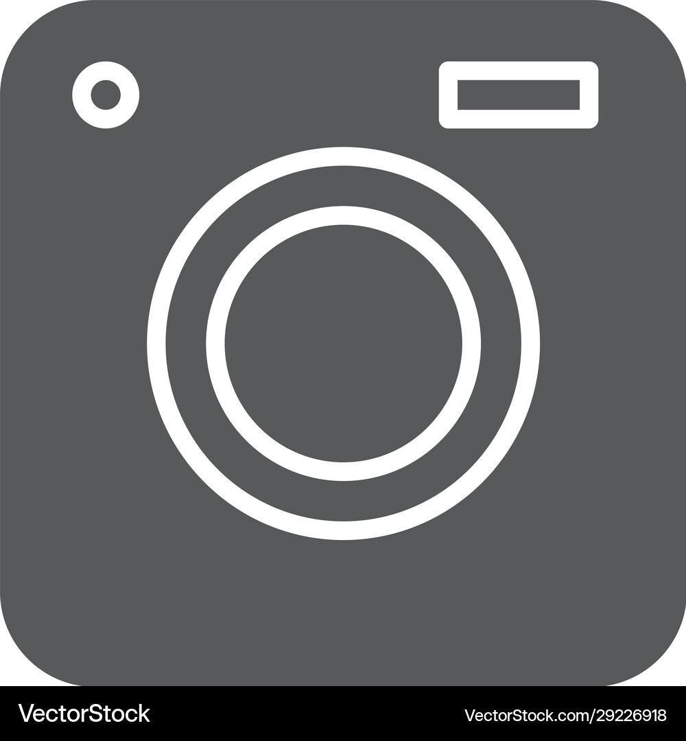 Social media camera icon flat style isolated Vector Image