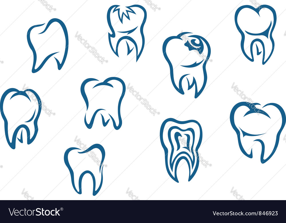 Human teeth set Royalty Free Vector Image - VectorStock