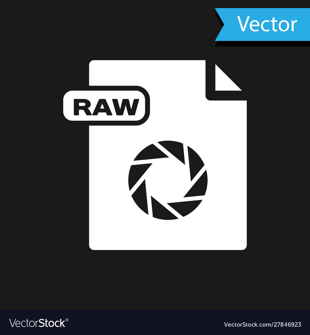 White raw file document download raw button icon Vector Image