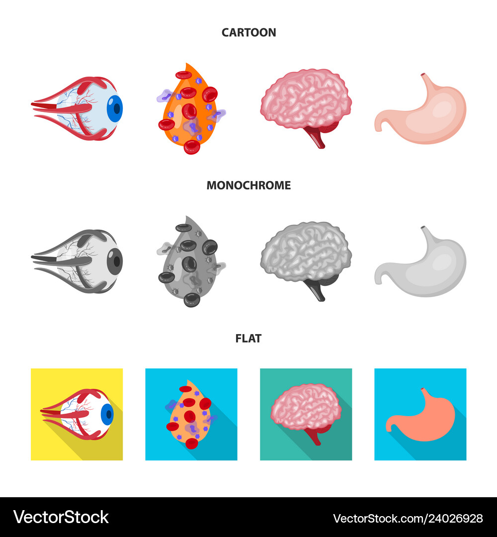 Biology and scientific Royalty Free Vector Image