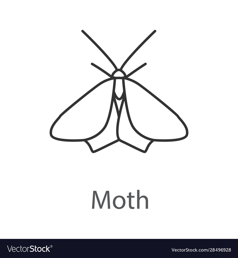 Moth linear icon Royalty Free Vector Image - VectorStock