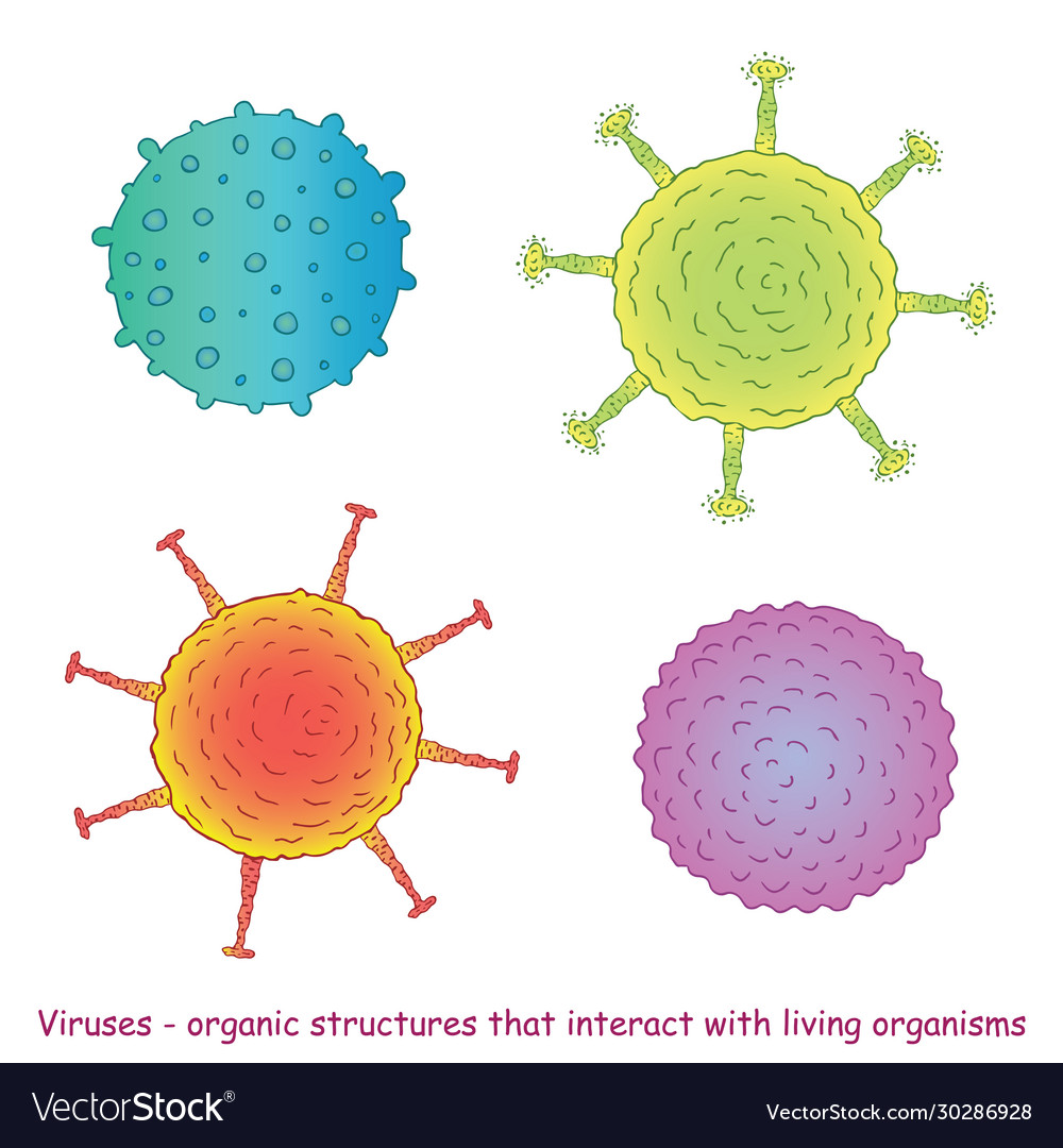 Viruses Royalty Free Vector Image - VectorStock