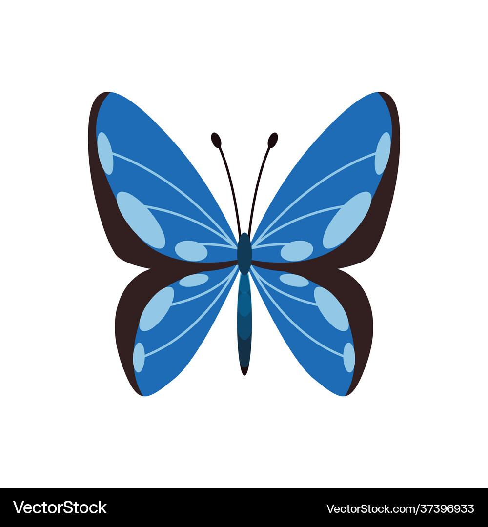 Exotic color butterfly hand drawn moth wings Vector Image
