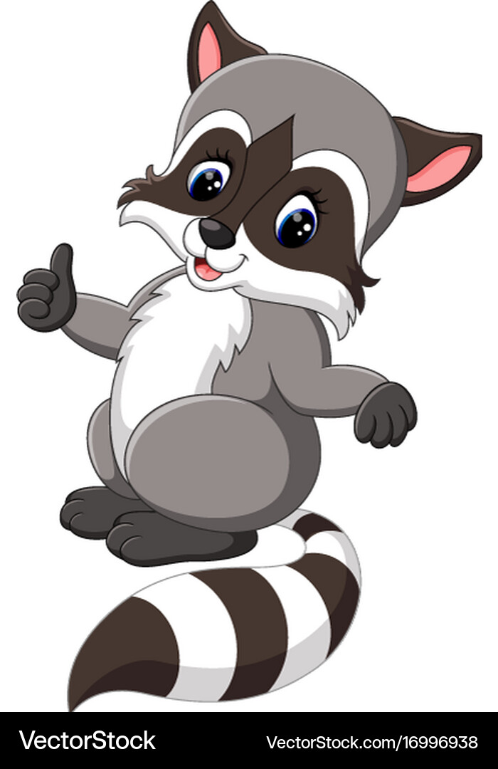 Cute raccoon cartoon Royalty Free Vector Image