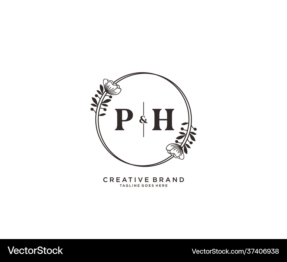 Initial ph letters hand drawn feminine and floral Vector Image