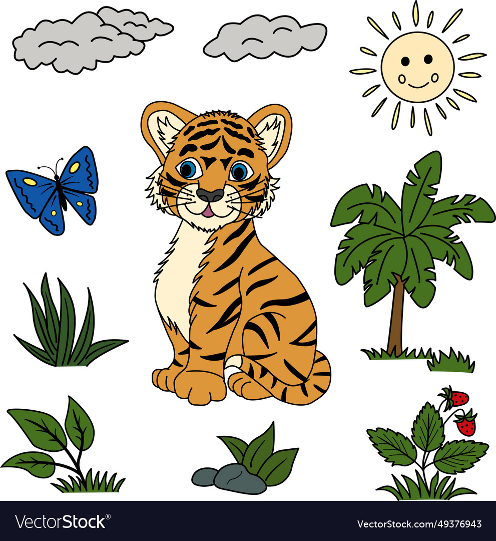 Cartoon baby tiger sun clouds butterfly palm Vector Image