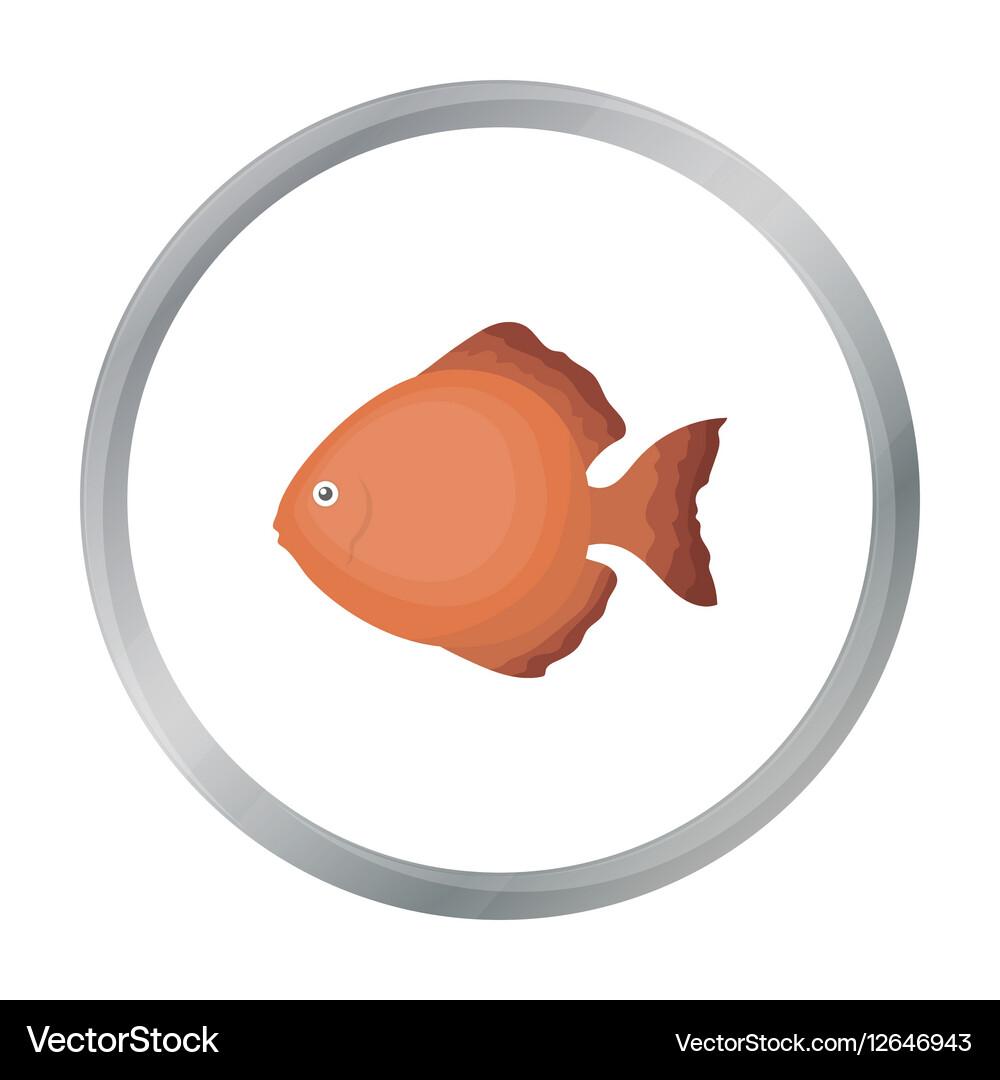 Discus fish icon cartoon singe aquarium Royalty Free Vector