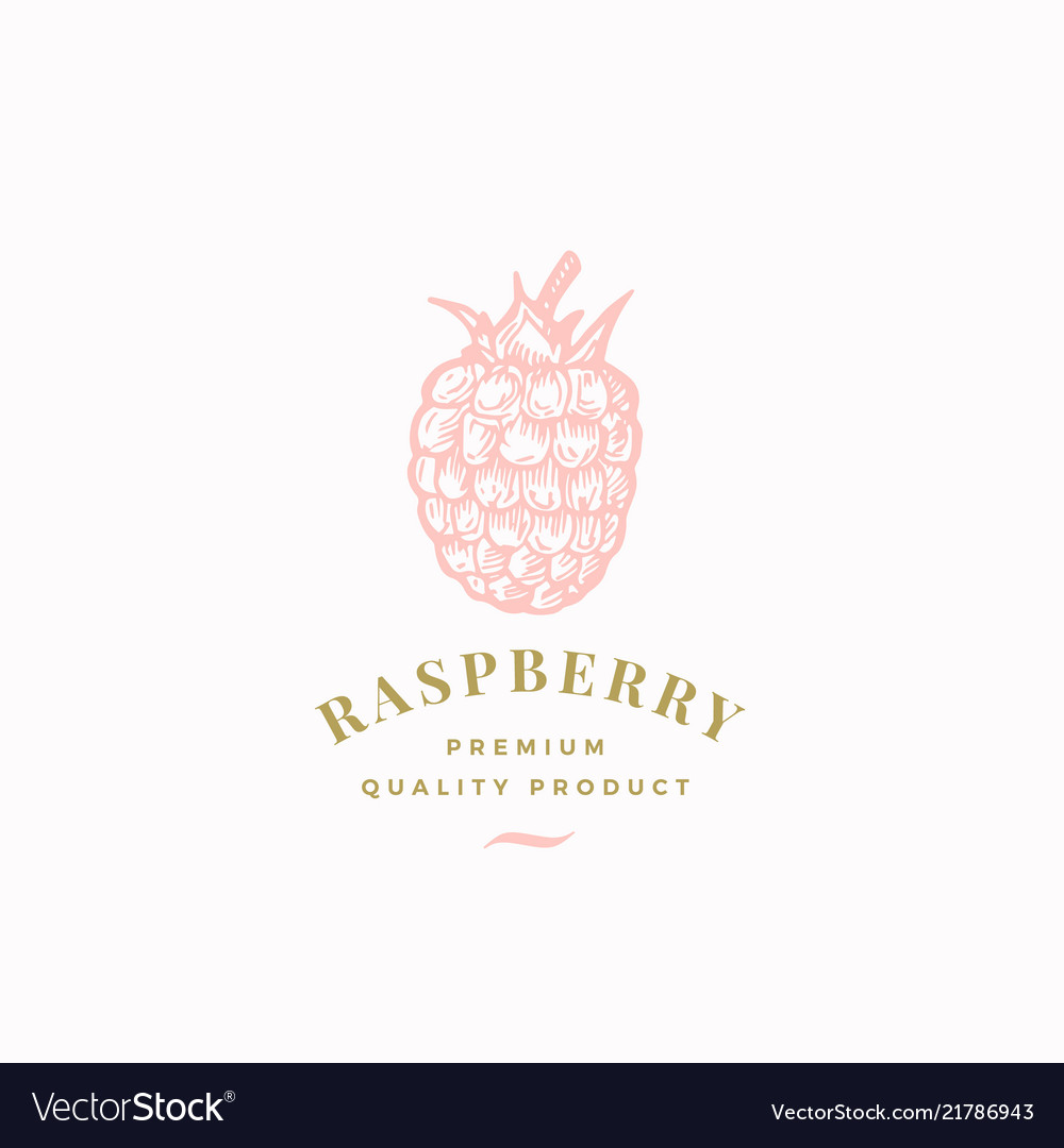 Raspberry abstract sign symbol or logo Royalty Free Vector