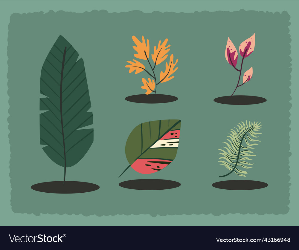 Five flat leaves Royalty Free Vector Image - VectorStock