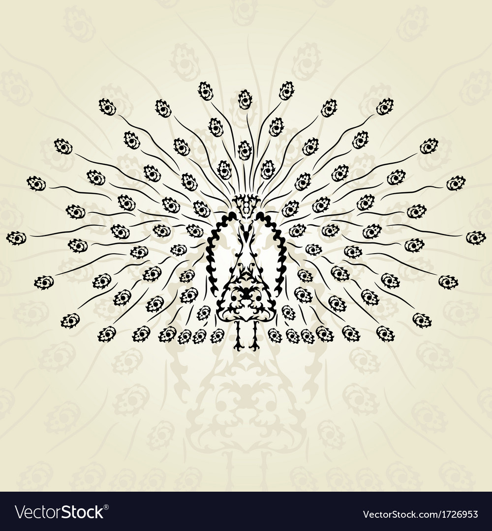 Decorative Peacock Royalty Free Vector Image Vectorstock