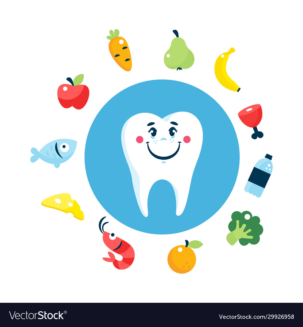 Food for healthy teeth concept with white tooth Vector Image