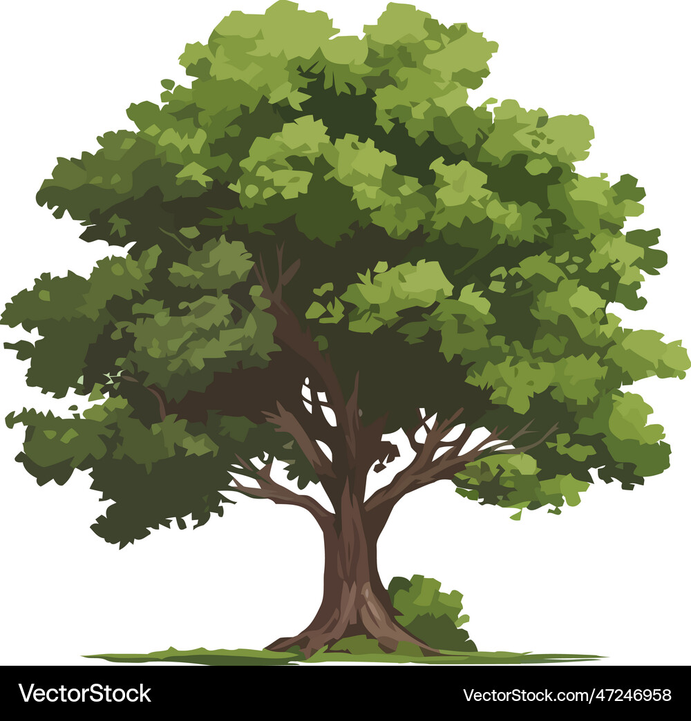 Green tree symbolizes nature growth Royalty Free Vector