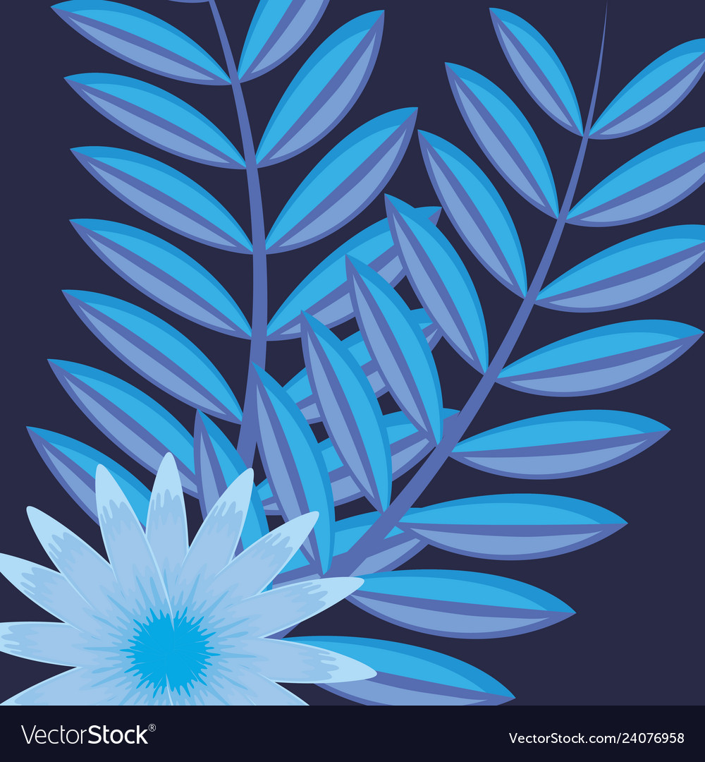 Tropical flowers design Royalty Free Vector Image