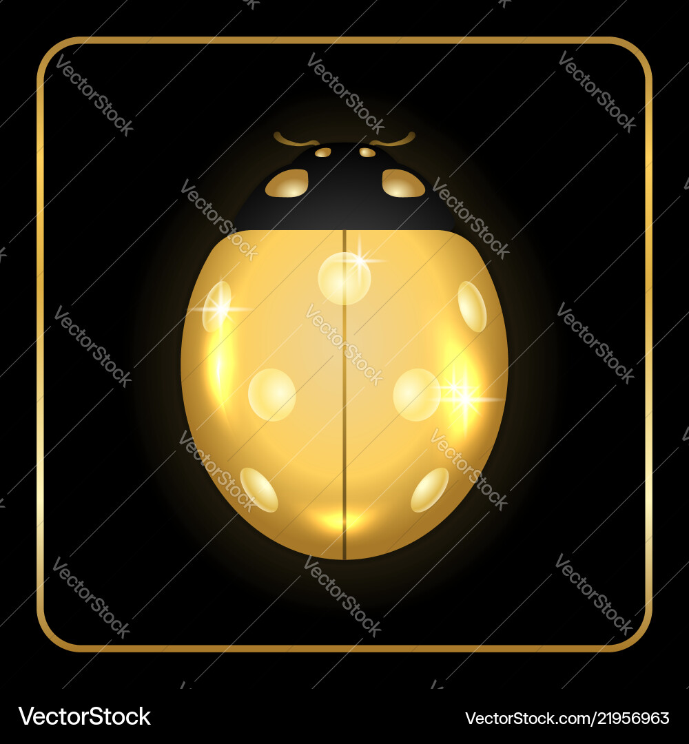 Ladybug gold insect small icon golden lady bug Vector Image