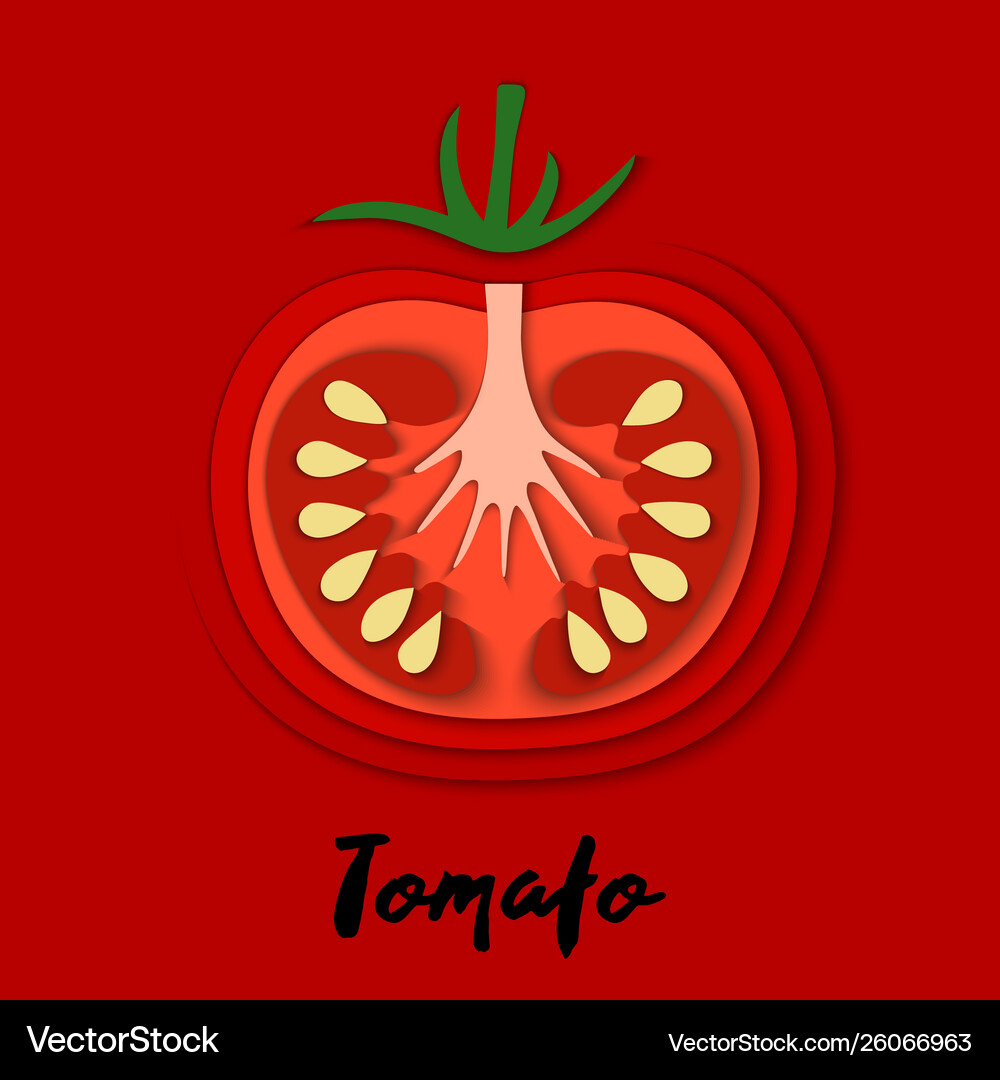 Set paper cut red tomato shapes 3d Royalty Free Vector Image