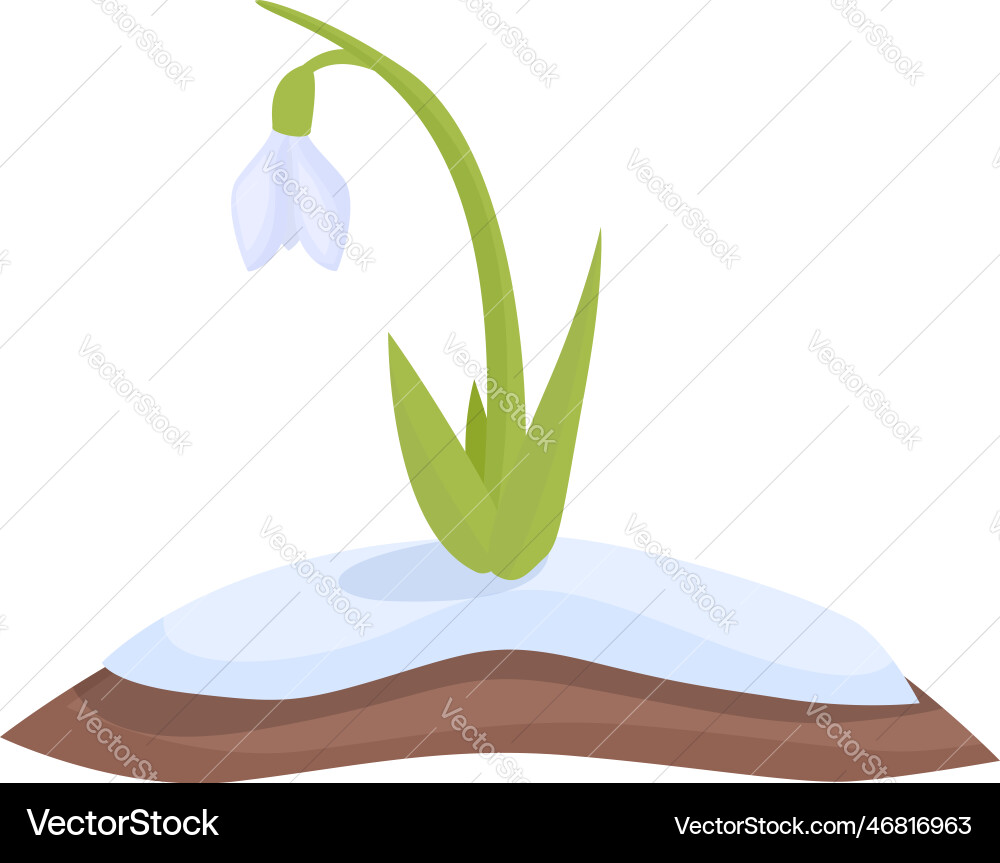 Snowdrop petal icon cartoon spring flower Vector Image