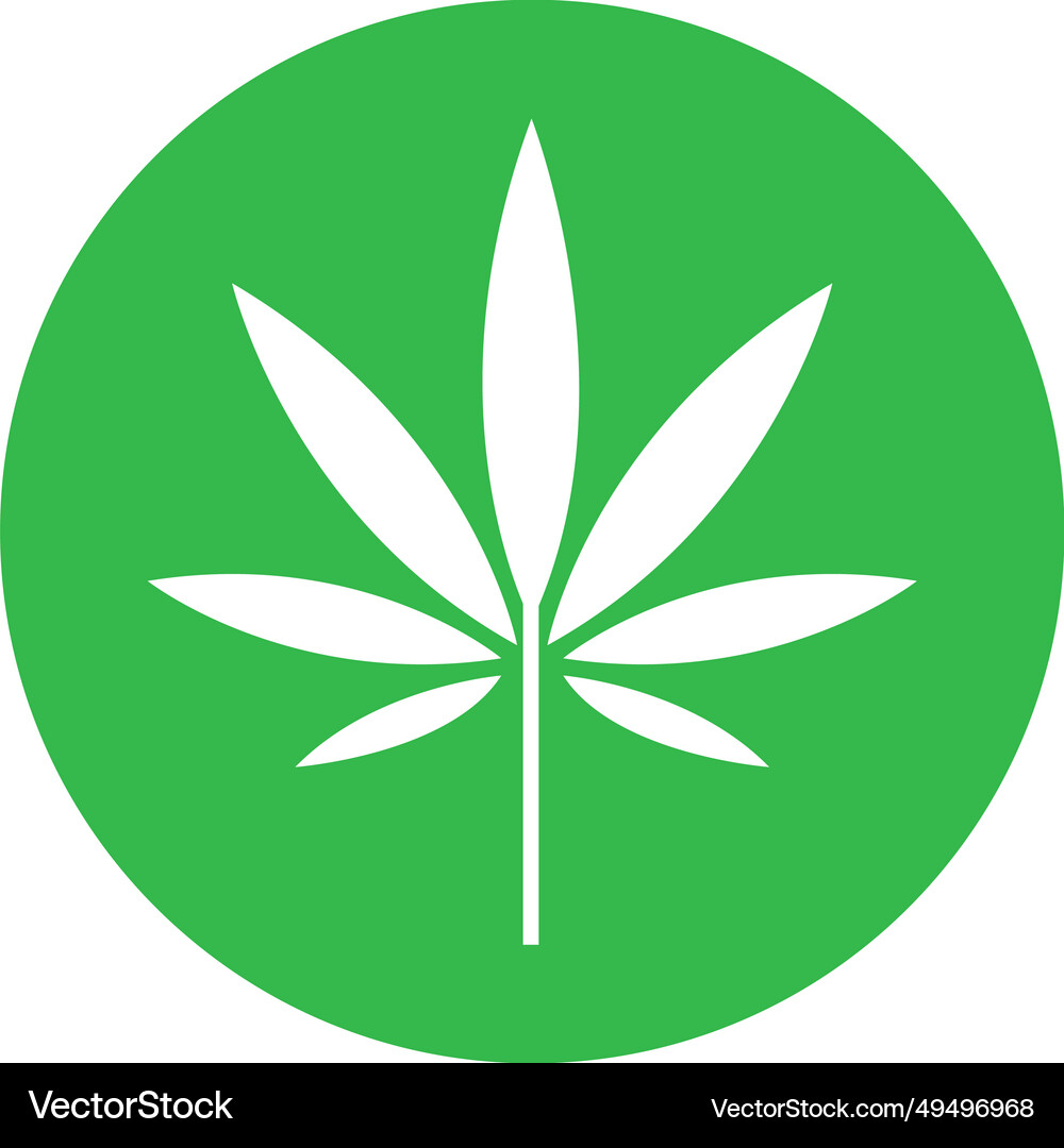 Cannabis leaf icon hemp marijuana leaf symbol in Vector Image