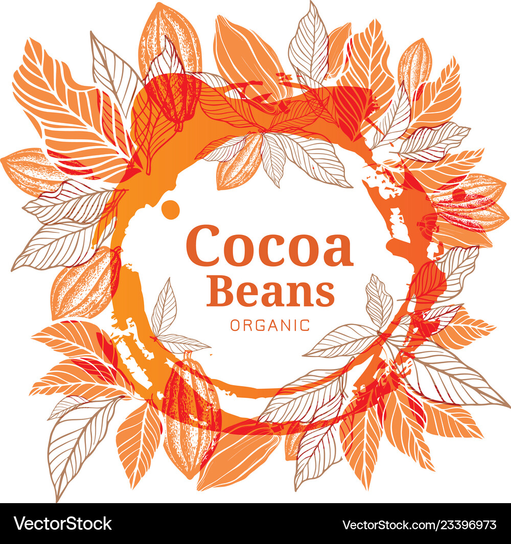 Cacao beans plant exotic plants Royalty Free Vector Image