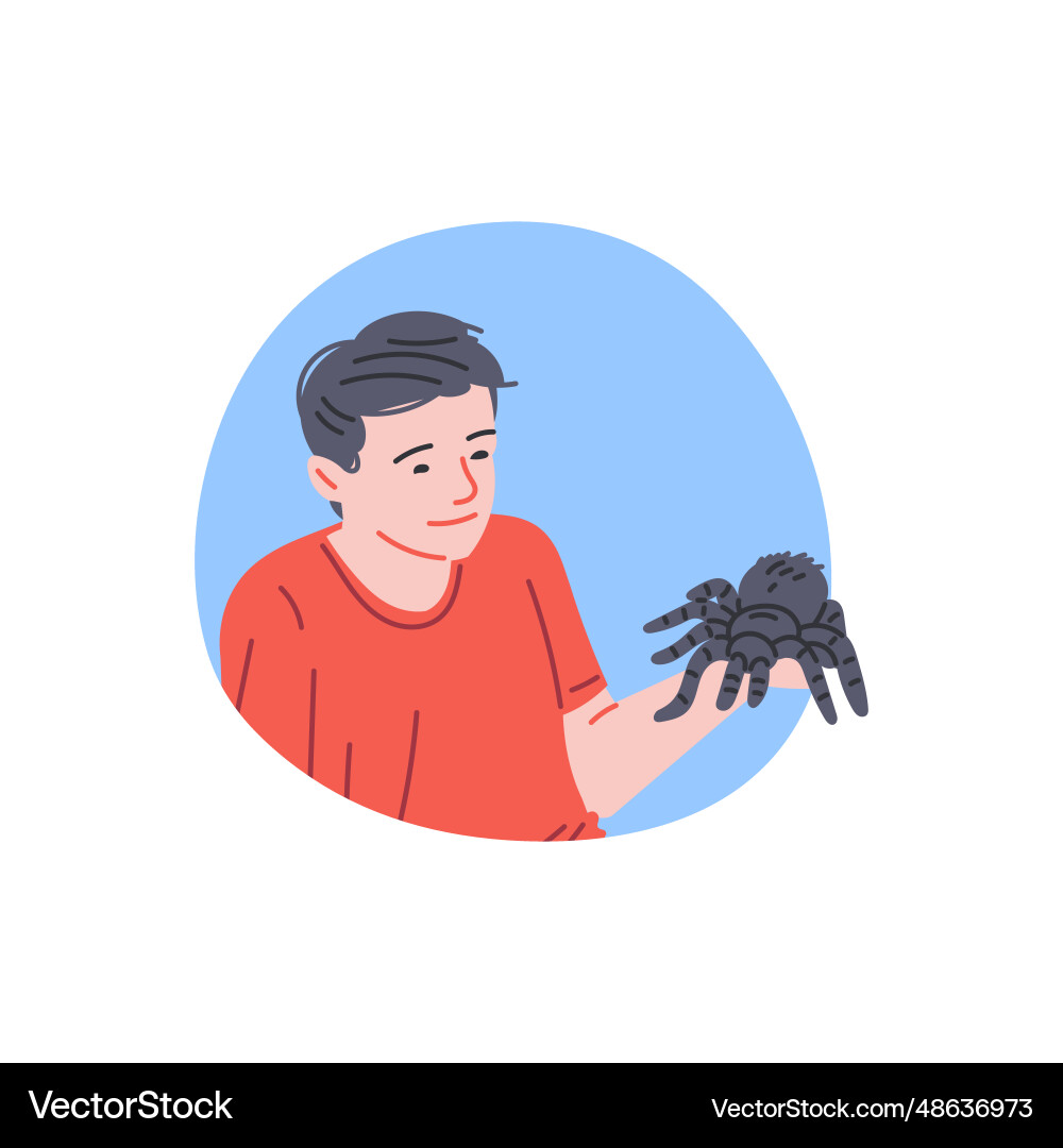 Man holds on hand black fluffy spider owner Vector Image