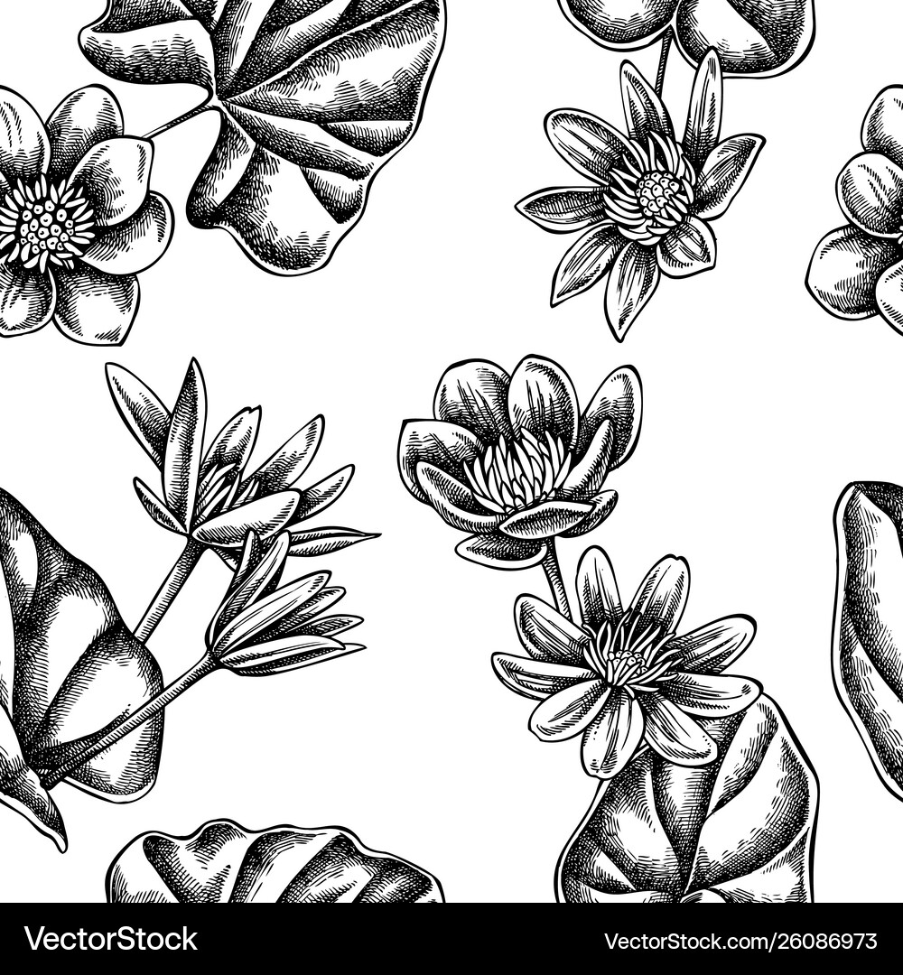 Seamless pattern with black and white celandine Vector Image