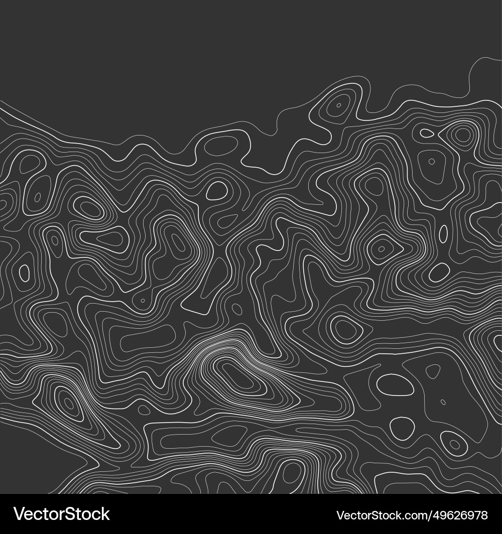Grey contours topography mountain terrain Vector Image