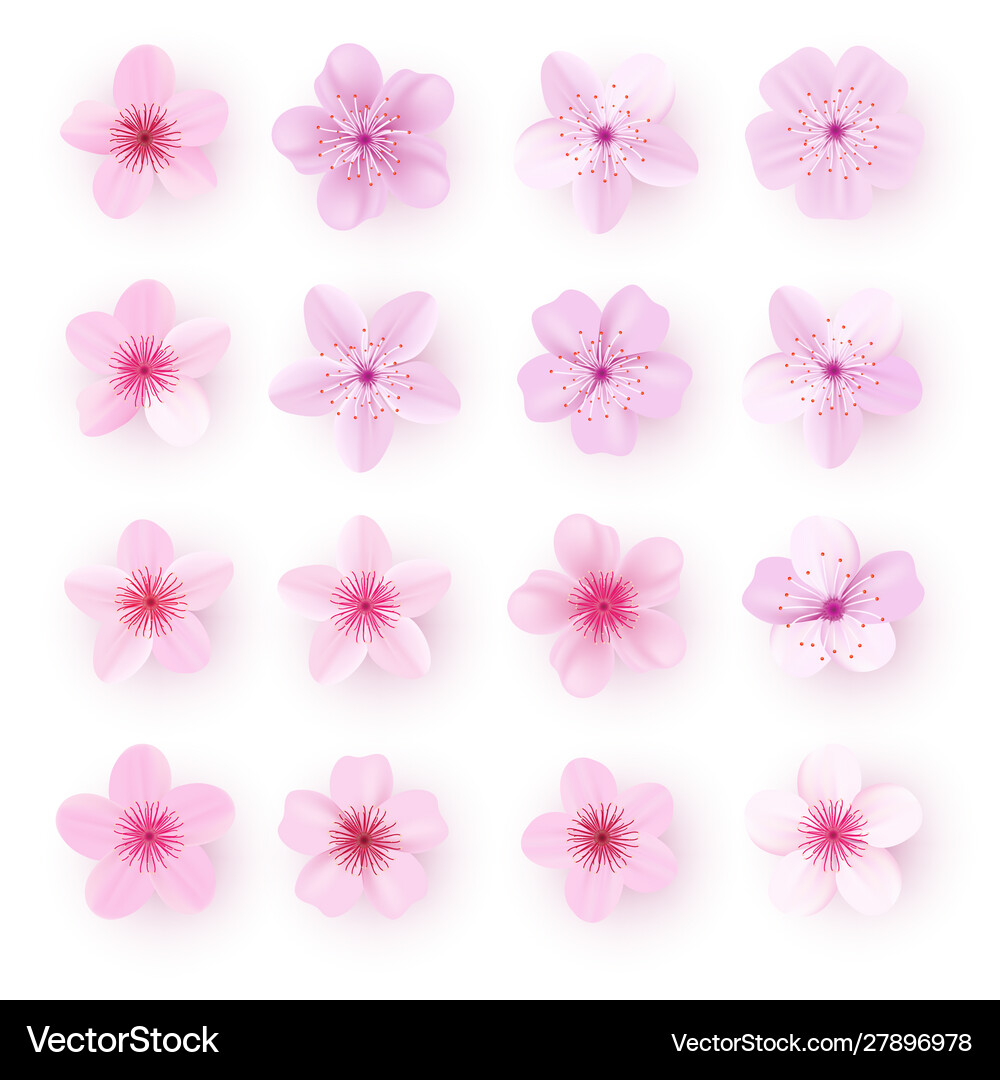 Realistic pink sakura petals icon set cherry Vector Image