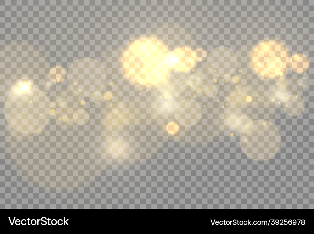 Sparkling golden magic dust particles bokeh light Vector Image