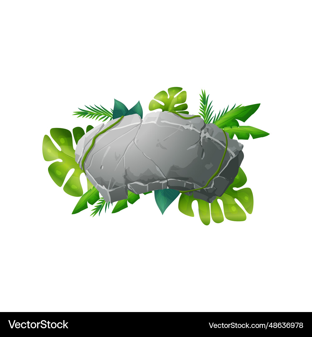 Stone board with leaves dracaena rock arc Vector Image