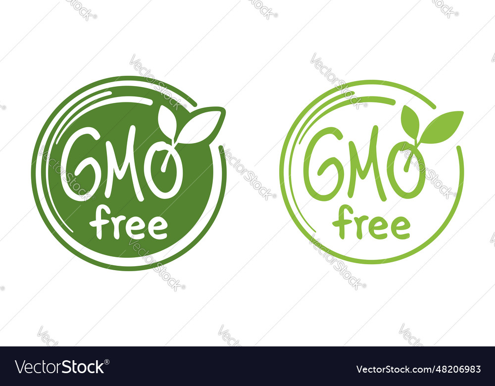 Gmo free calligraphic label with leaf and text Vector Image