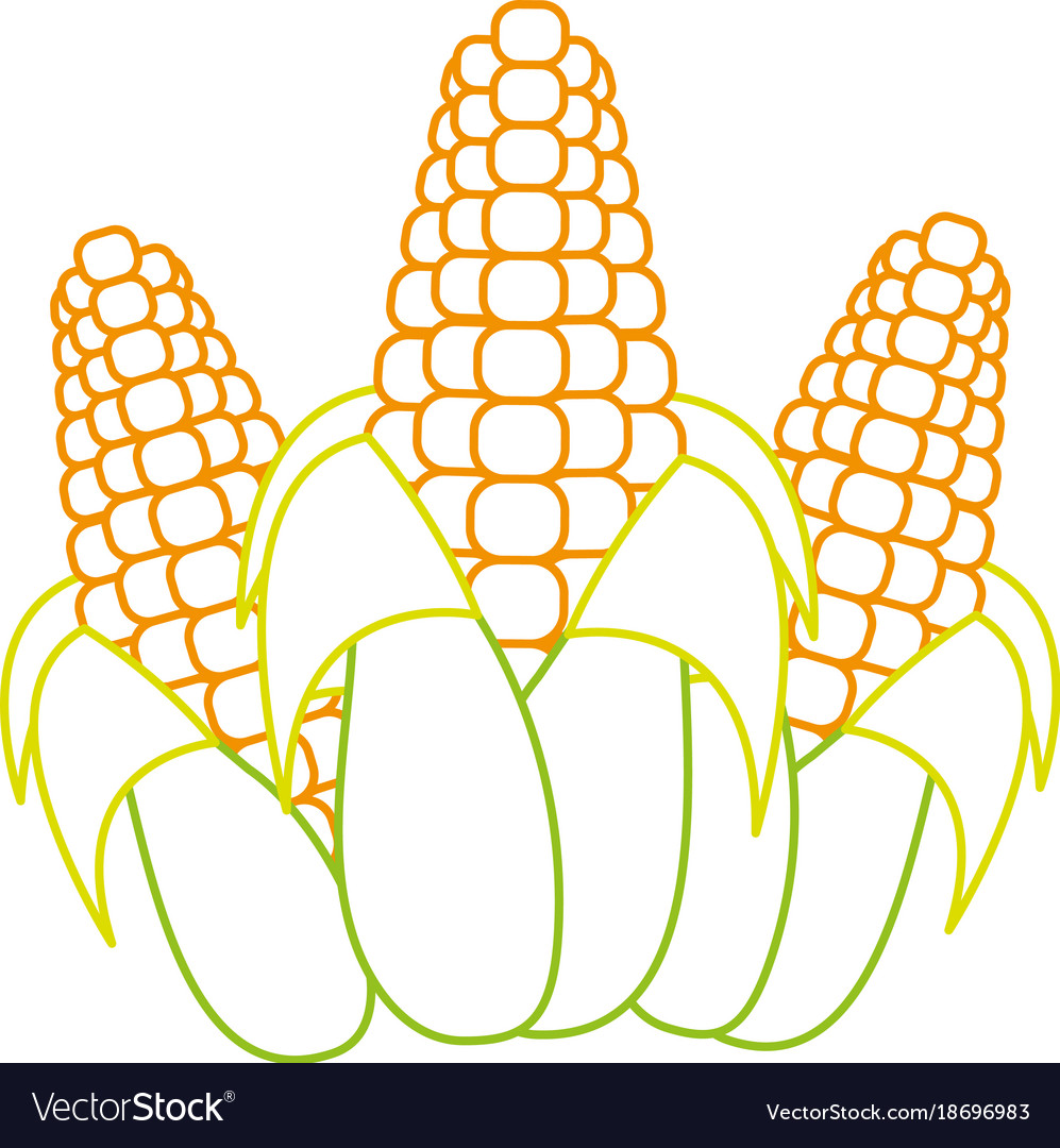 Isolated corn design Royalty Free Vector Image