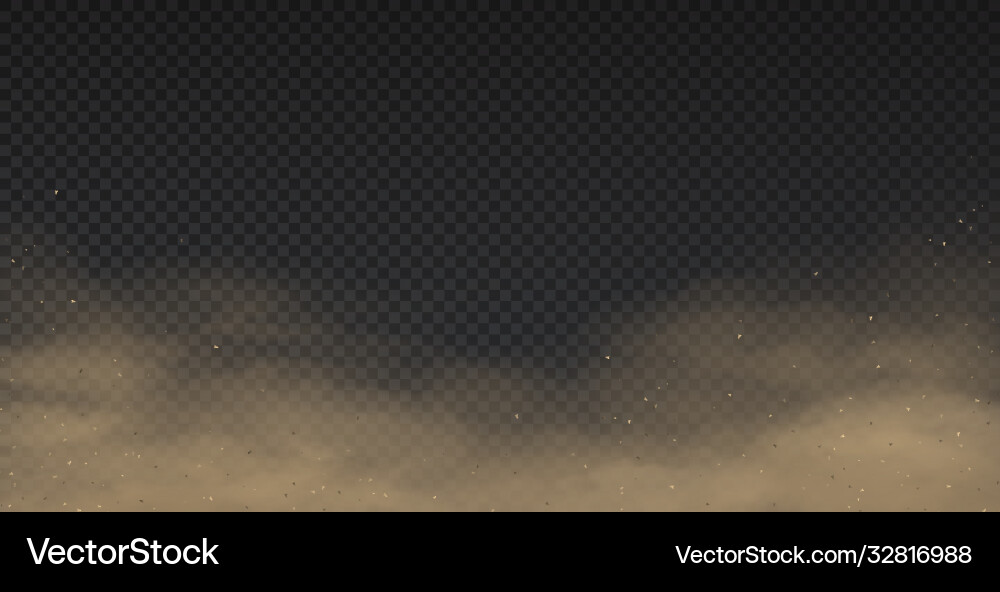 Realistic dust smoke effect and 3d mud powder Vector Image