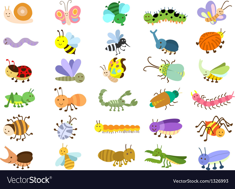 Bug Royalty Free Vector Image - VectorStock