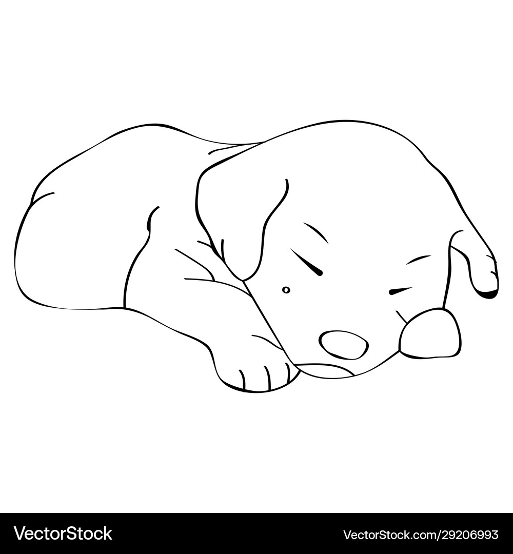 Image a little puppy in outlines Royalty Free Vector Image