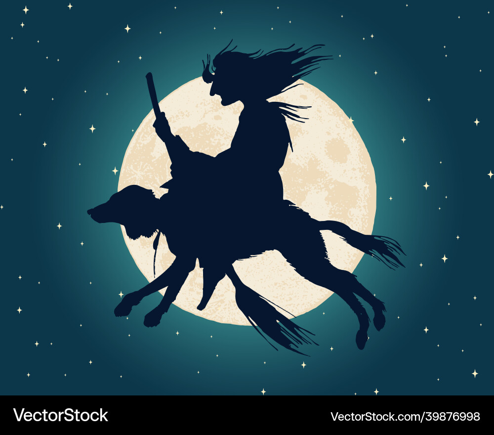 Witch flying over the moon in night sky Royalty Free Vector