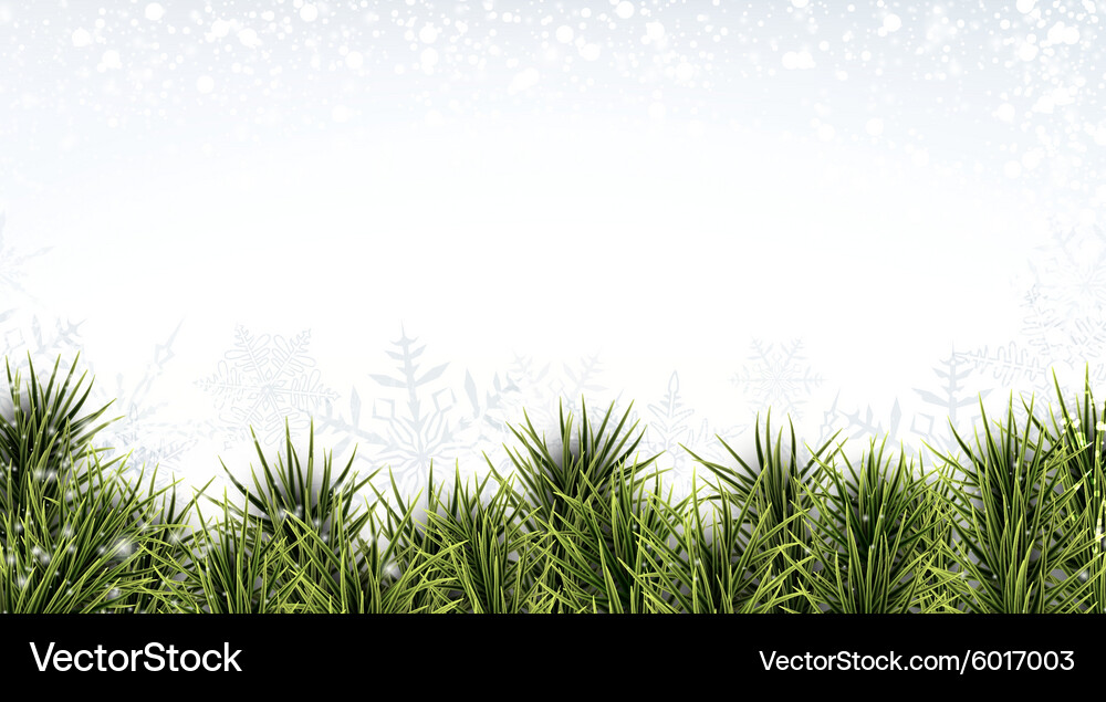 Christmas banner with spruce twigs Royalty Free Vector Image