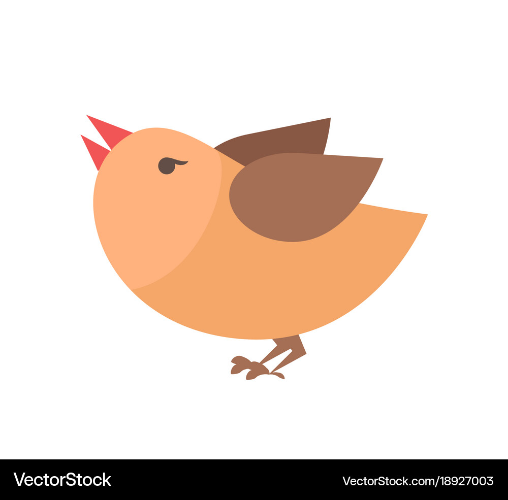 Closeup of orange bird Royalty Free Vector Image