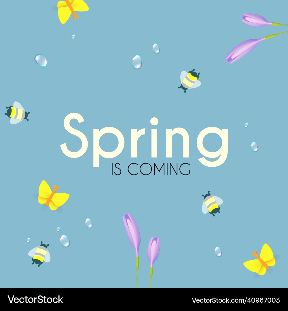 Spring is coming butterflies bees water drops Vector Image